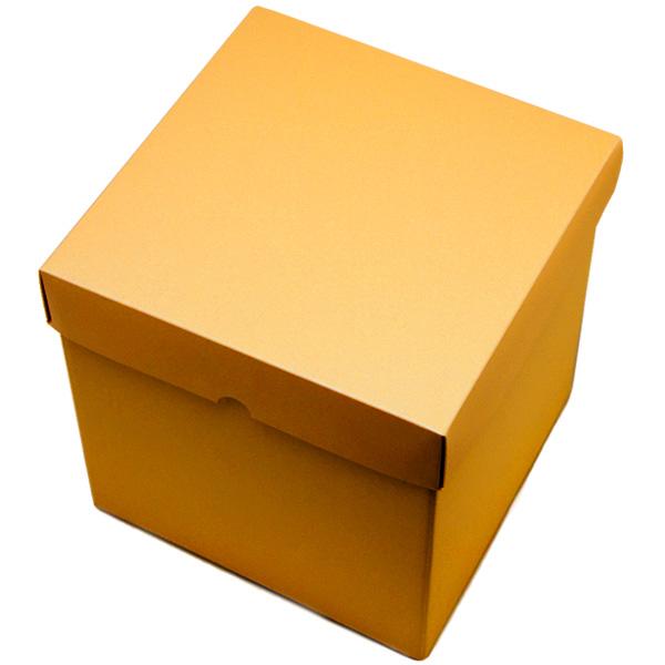 Pearlised Cube Gift Box 20 x 20 x 20cm