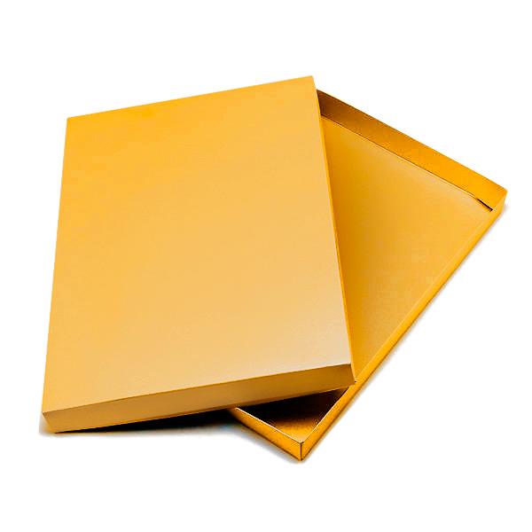 Pearlised A4 Shallow Gift Box 30 x 21 x 2cm