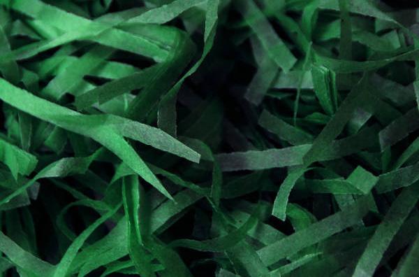 Dark Green Shredded Tissue Paper