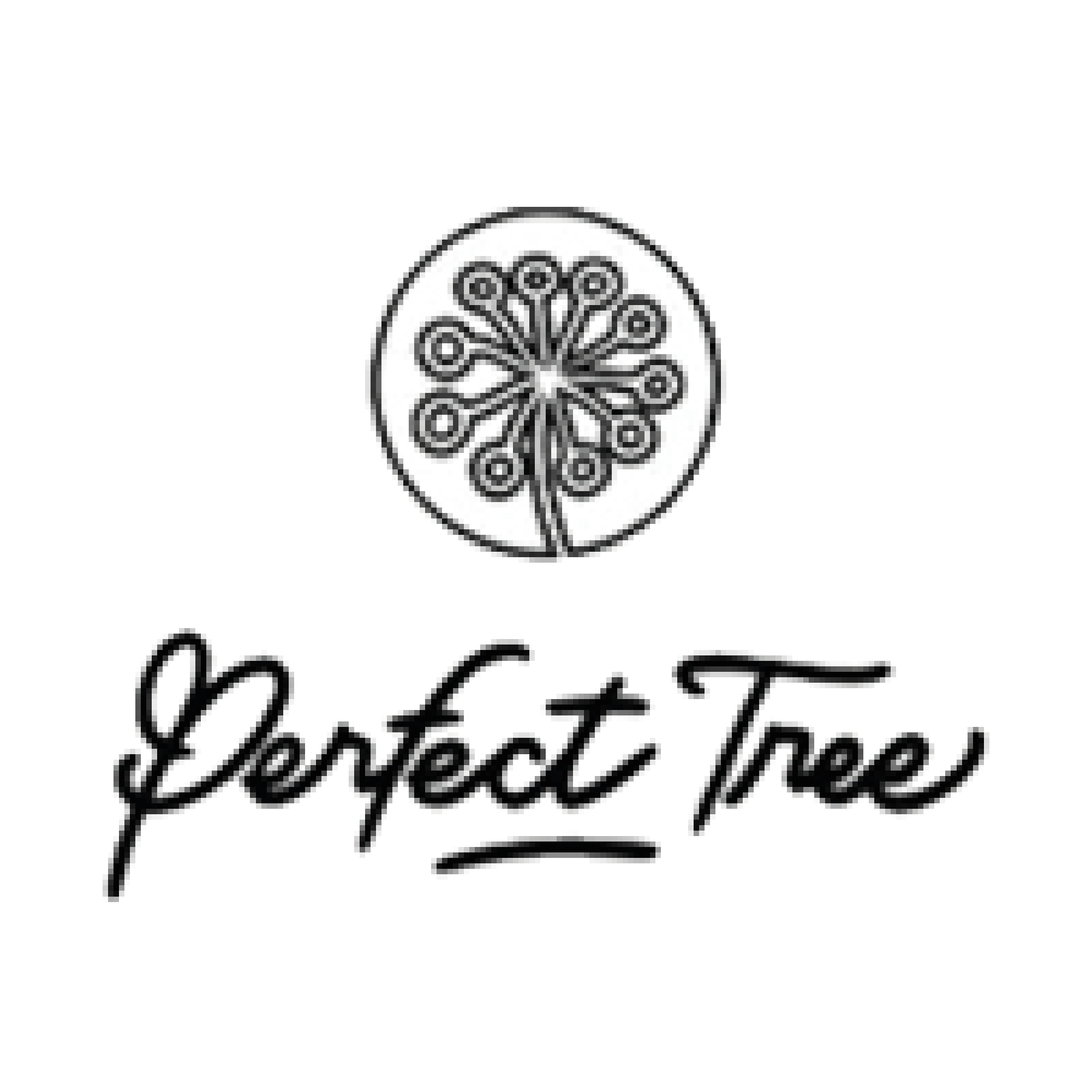 Perfect Tree | UK Based Cannabis Seeds | Kazam Seeds