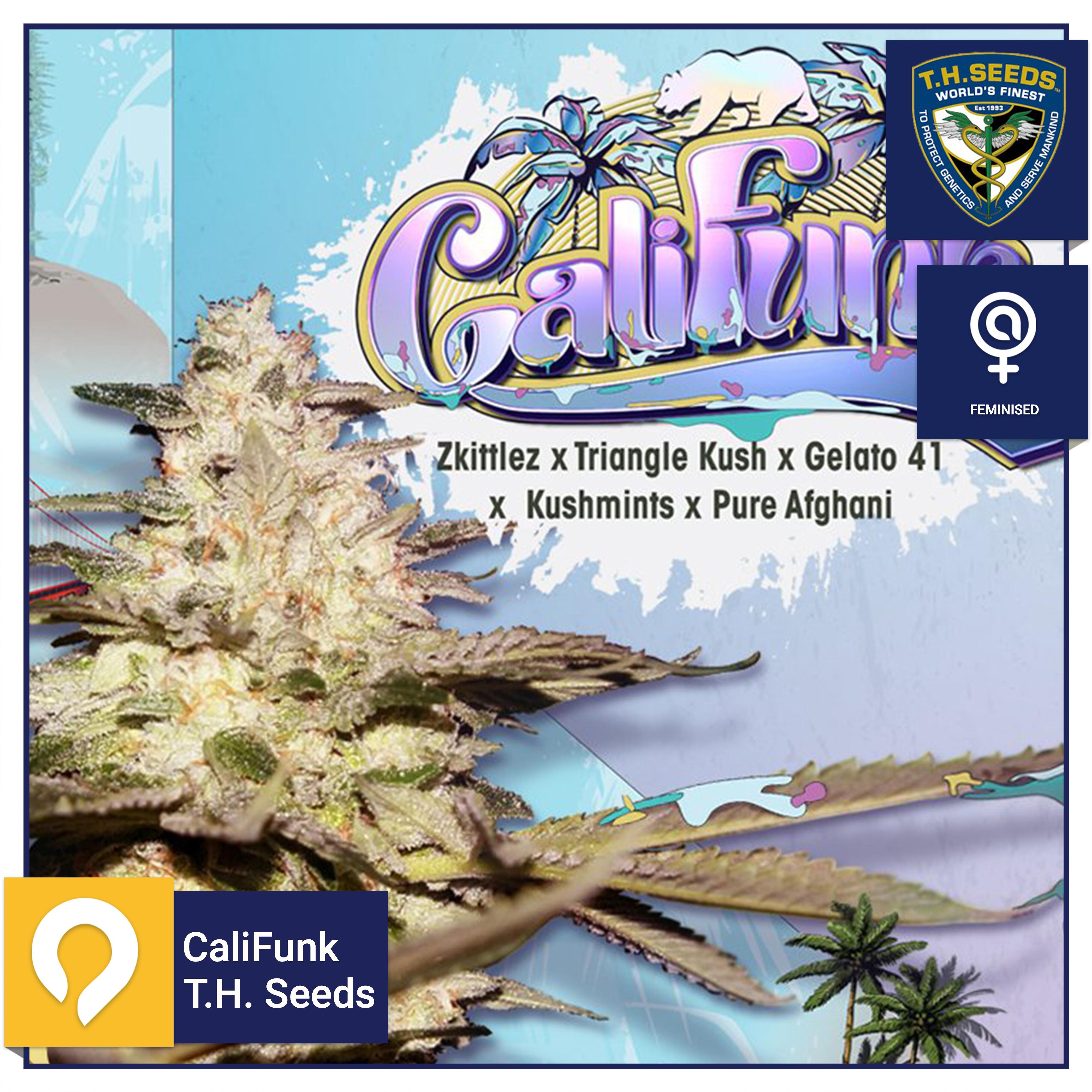 CaliFunk - T.H. Seeds - Feminised Seeds | Kazam Seeds