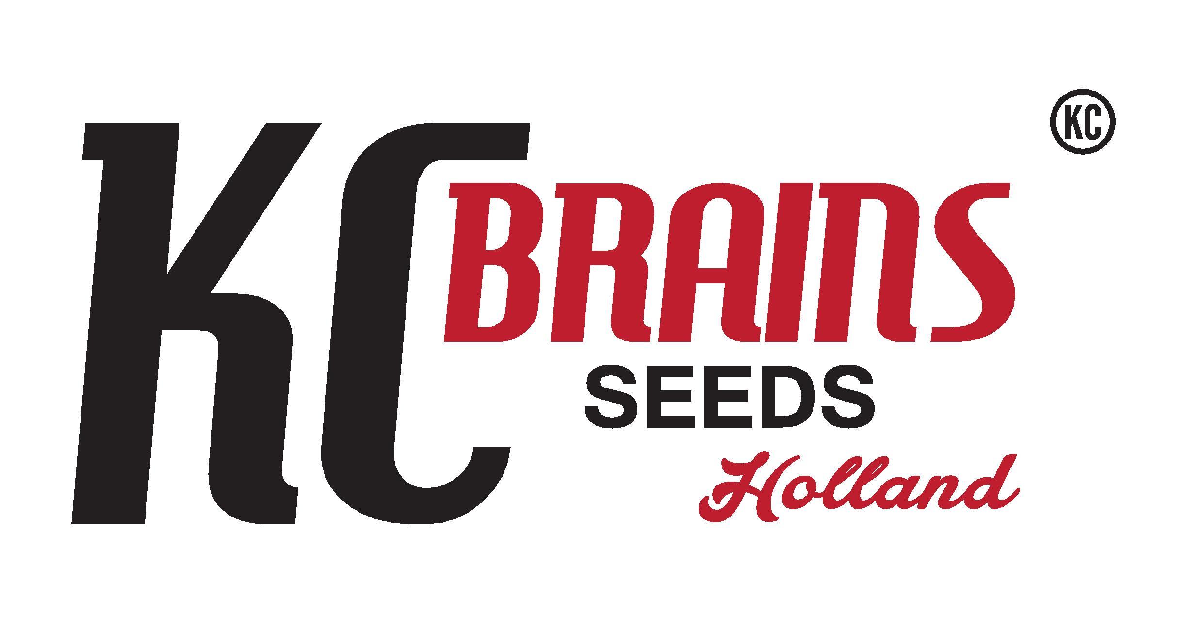 KC Brains | UK Based Cannabis Seeds | Kazam Seeds