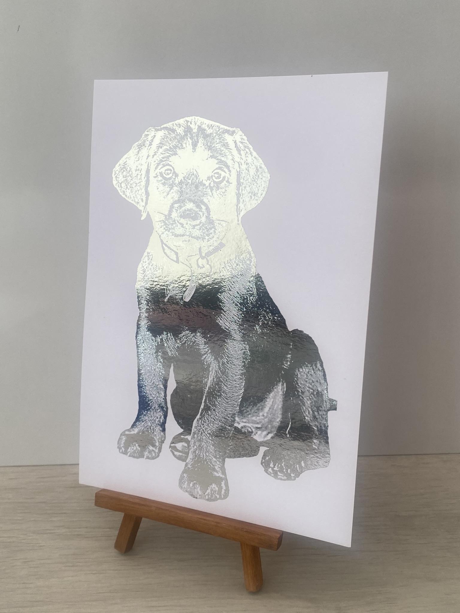 Pet Foil Portrait