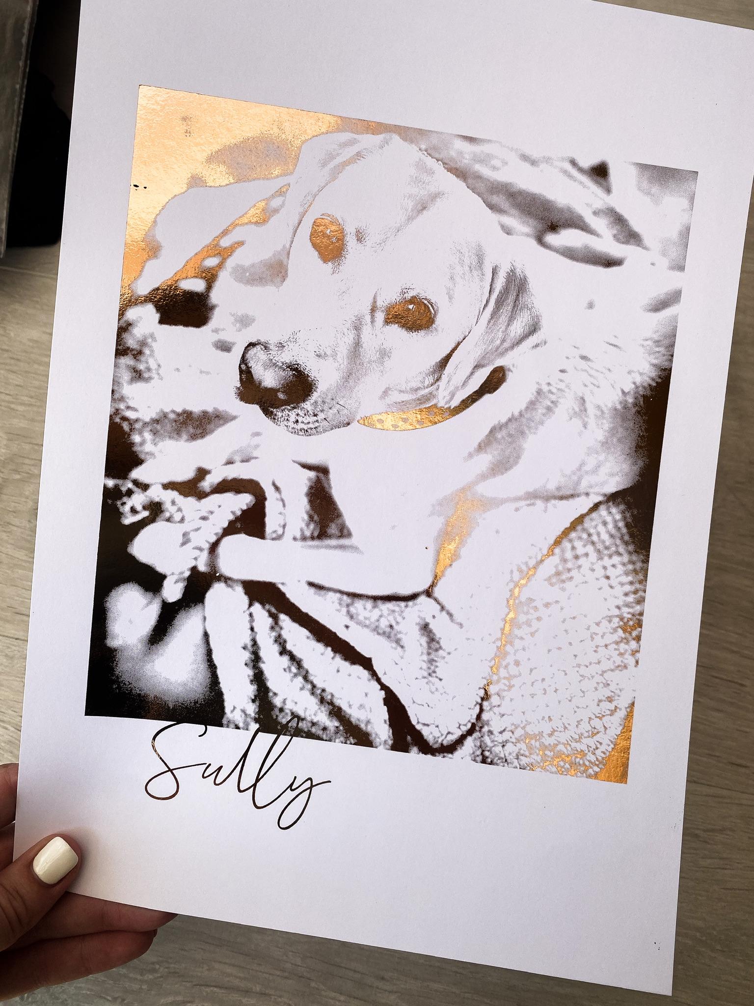Pet Foil Portrait