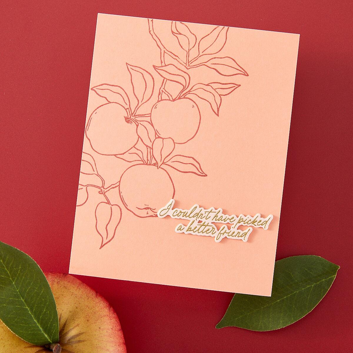 Hero Arts - Apple Branch Clear Stamp Set from the I Pick You Collection