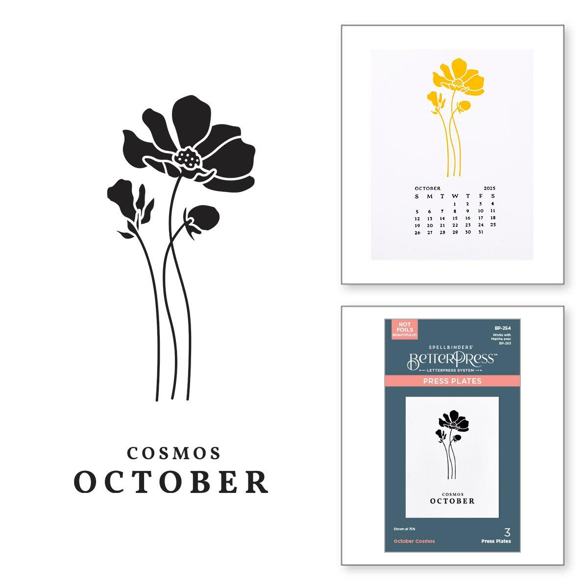 Spellbinders - October Cosmos Press Plates from the Florals Through the ...