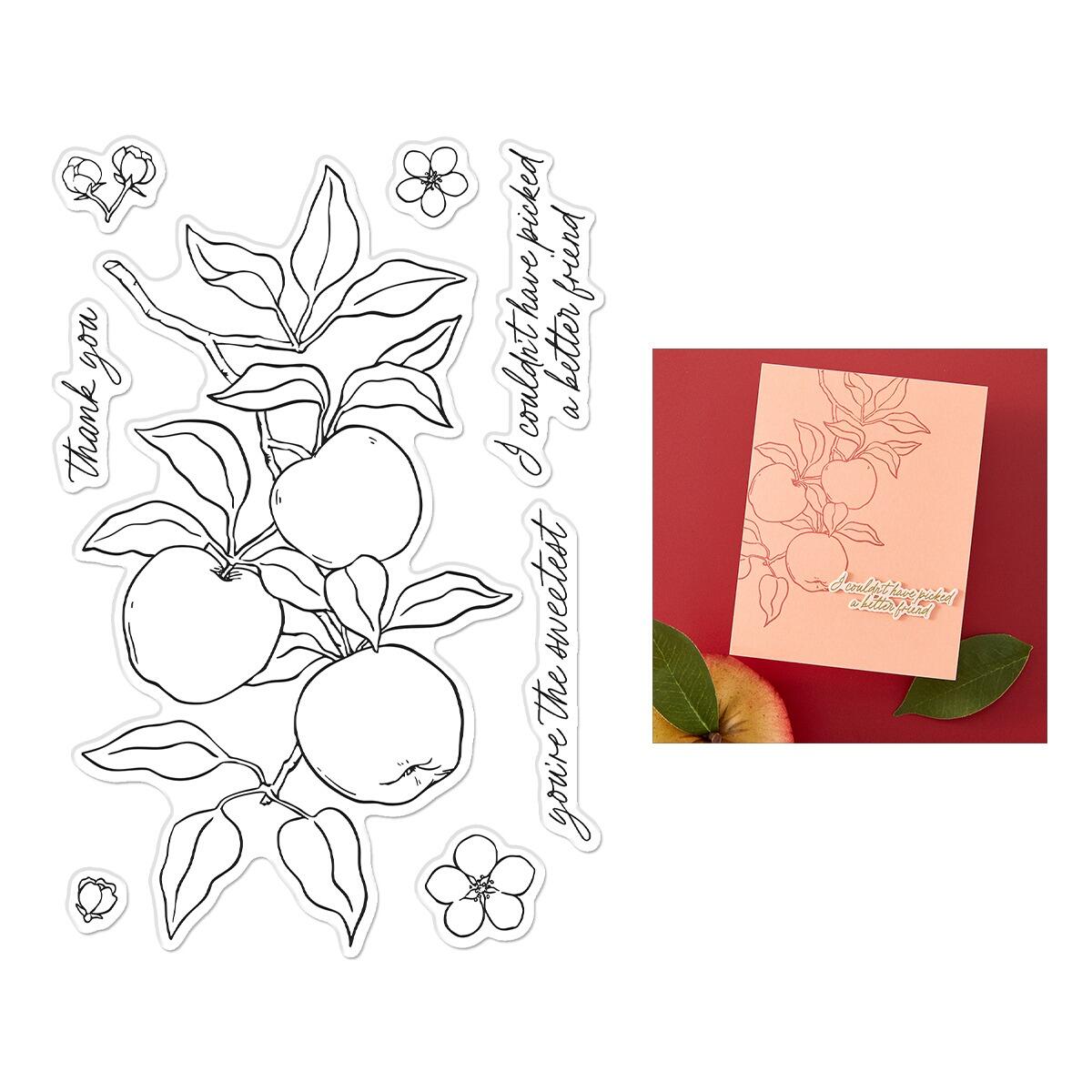 Hero Arts - Apple Branch Clear Stamp Set from the I Pick You Collection