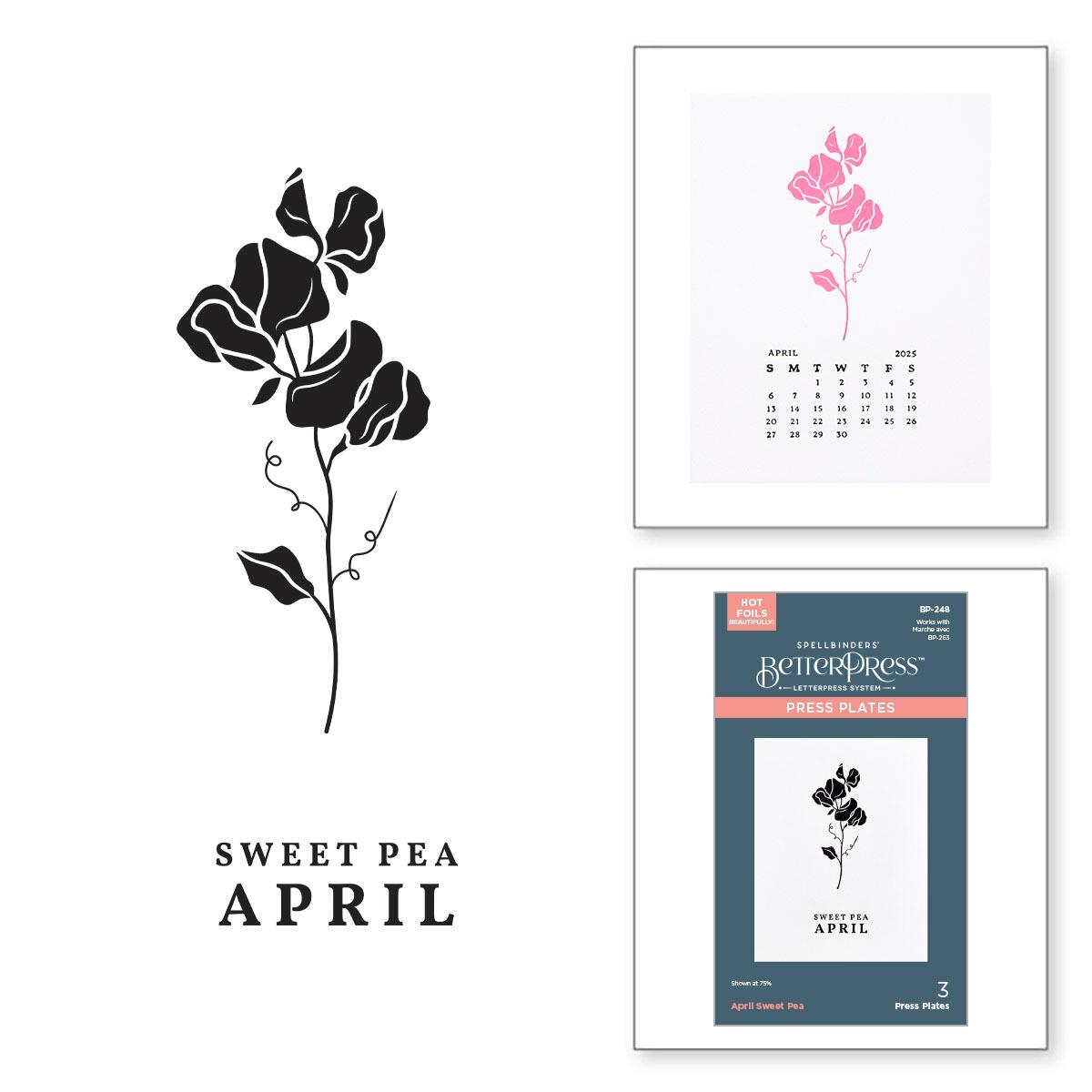 Spellbinders - April Sweet Pea Press Plates from the Florals Through ...