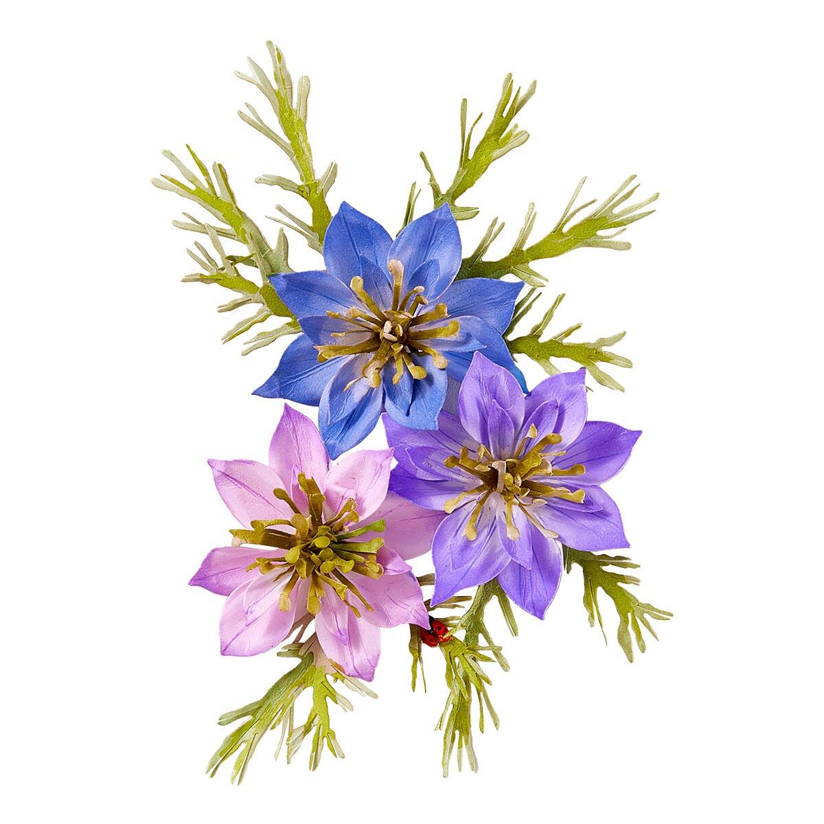 Spellbinders - Love-in-a-Mist Etched Dies by Susan Tierney-Cockburn