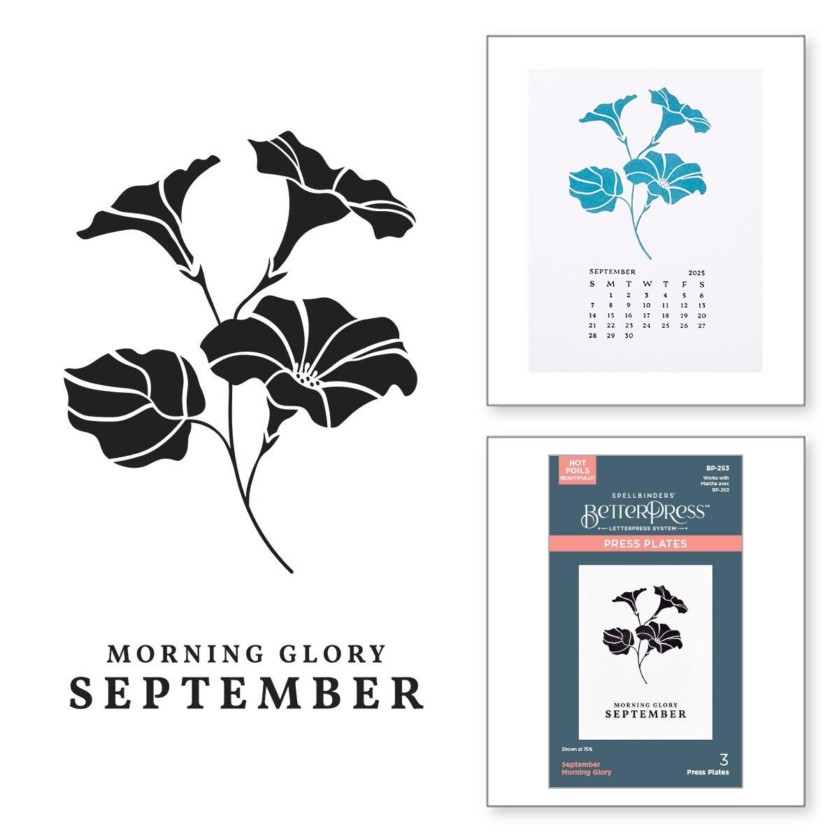 Spellbinders - September Morning Glory Press Plates from the Florals ...