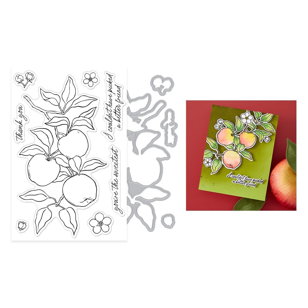 Hero Arts - Apple Branch Stamp & Cut Set from the I Pick You Collection