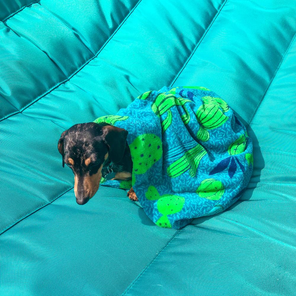 Cactus & Blue Waffle Snuggle Sack - Lottie's Label