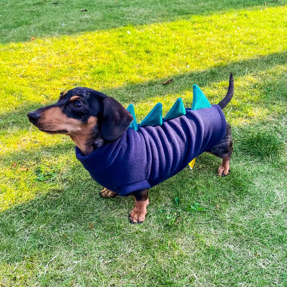 Waterproof Fleece Dinosaur Jumper | Lottie's Label