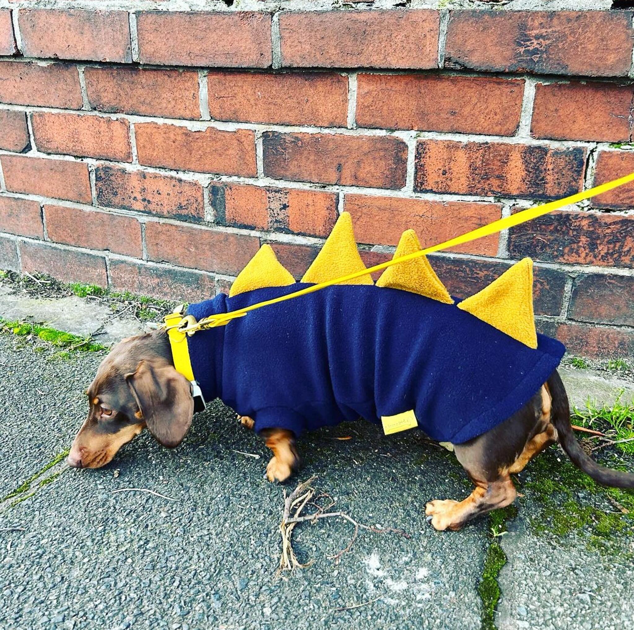 Waterproof Fleece Dinosaur Jumper | Lottie's Label