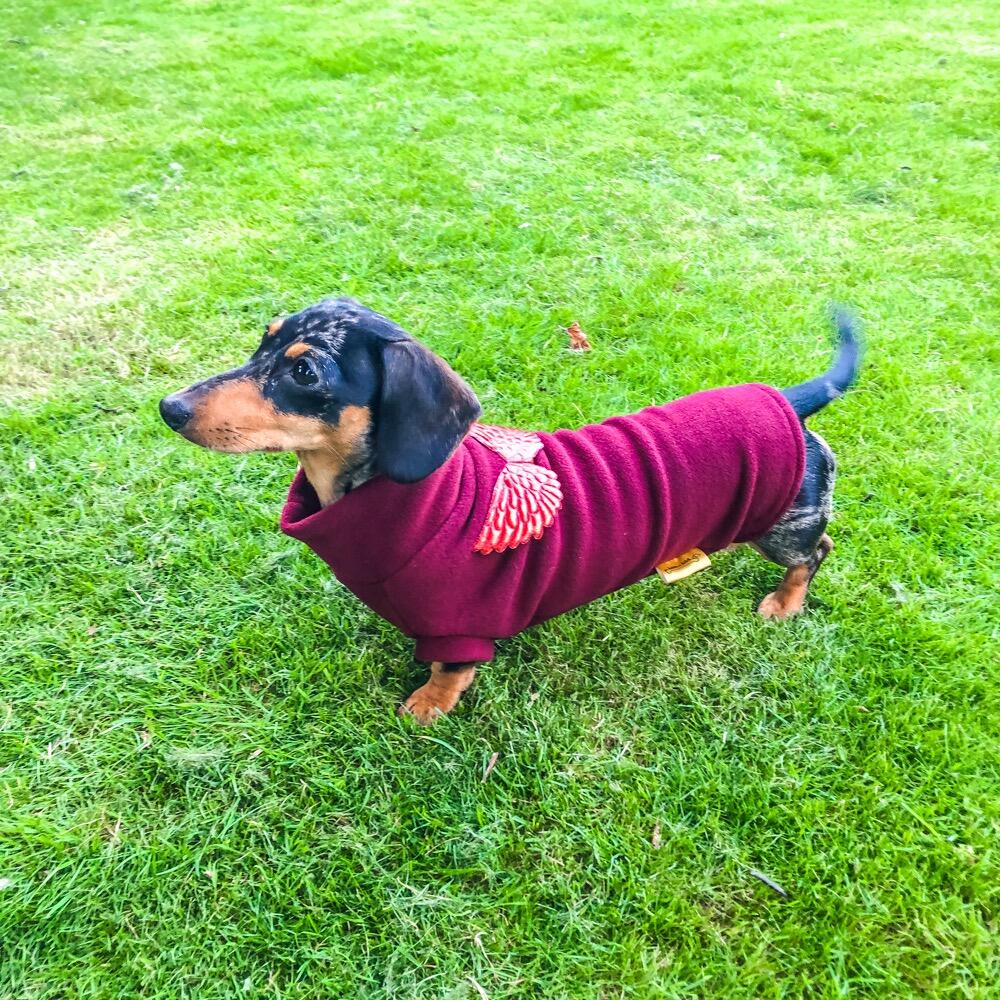 Waterproof Fleece Devil Jumper | Lottie's Label