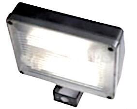 Robus Sign Light, 2x26W PLC Sign Light, Floodlight