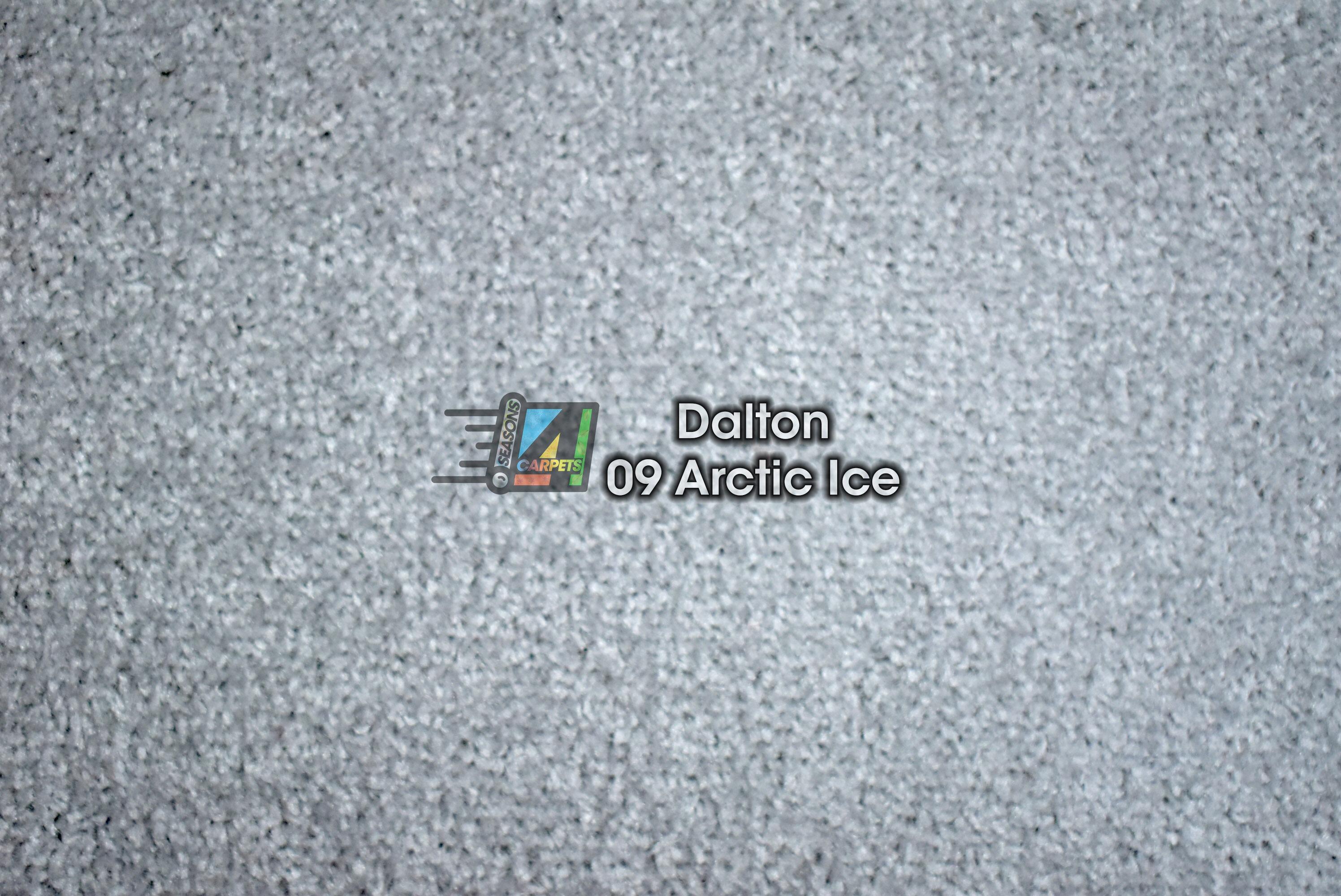Dalton 09 Arctic Ice