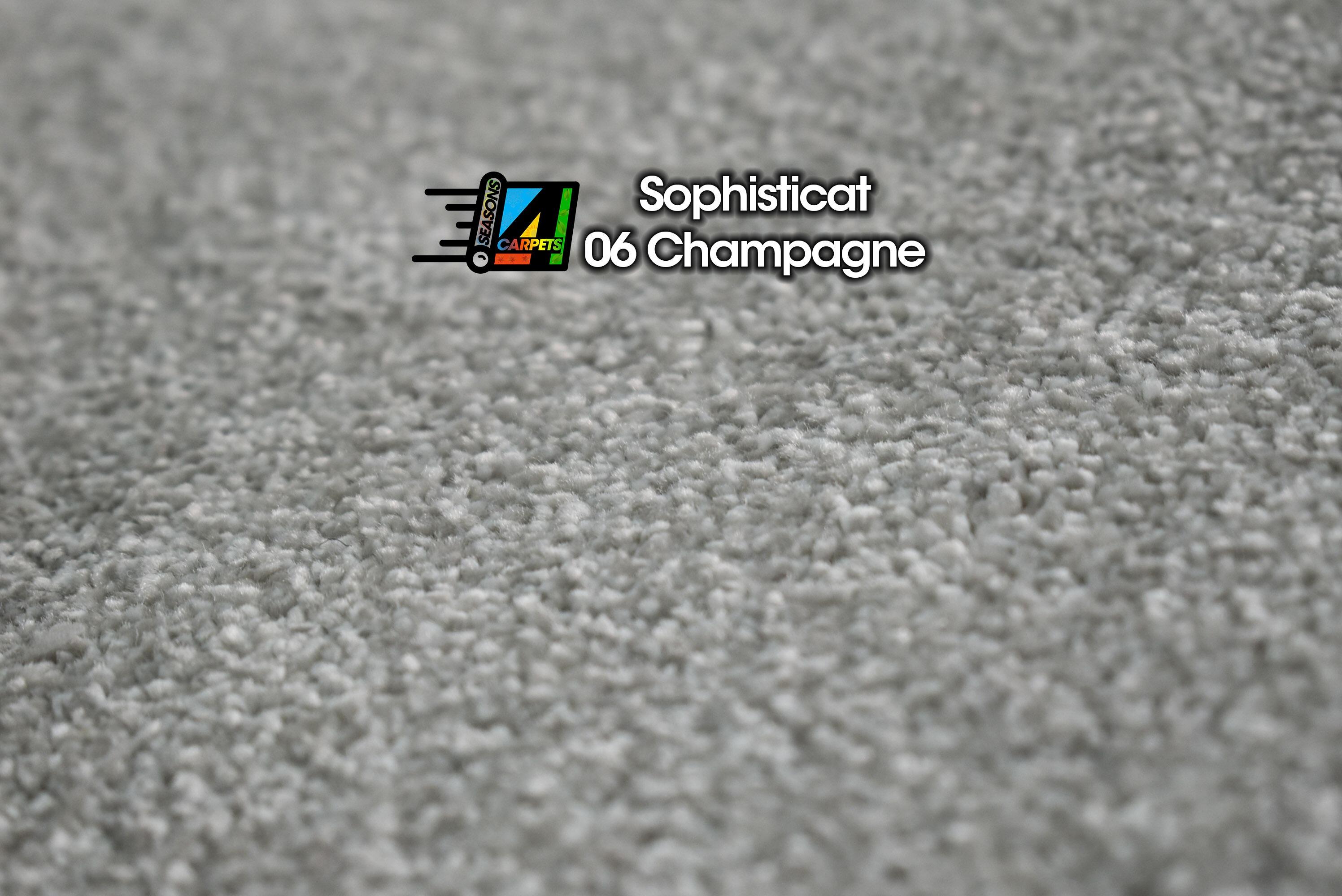 Sophisticat 06 Champagne