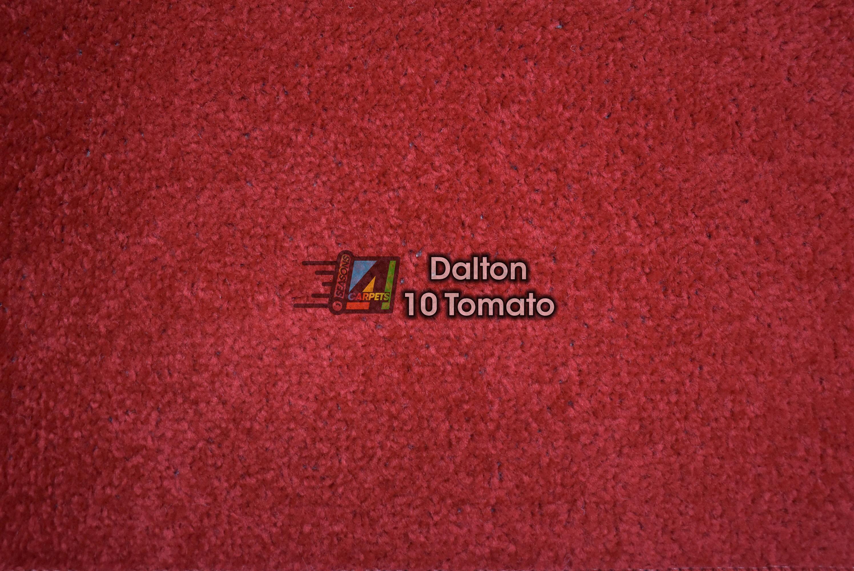 Dalton 10 Tomato