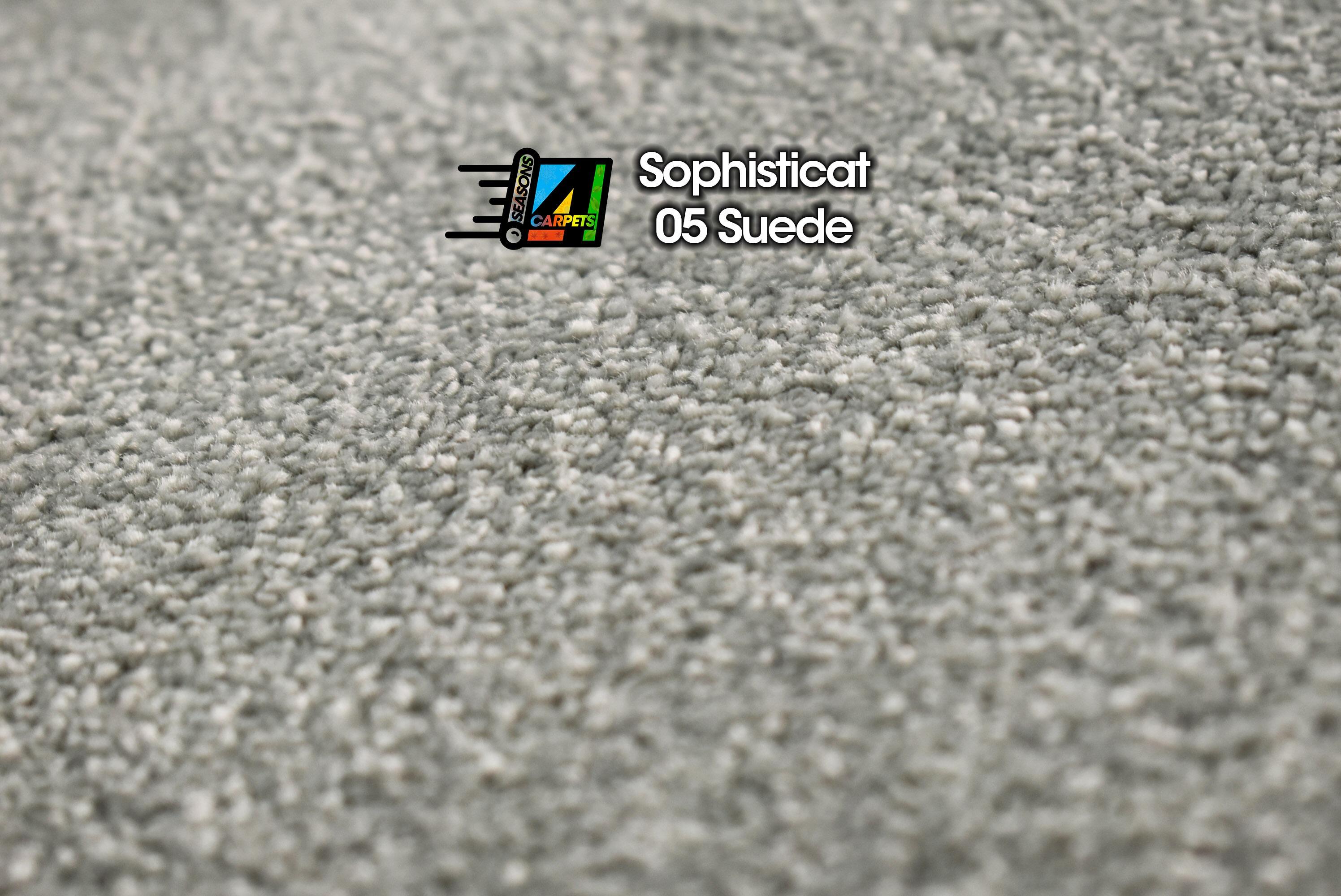Sophisticat 05 Suede