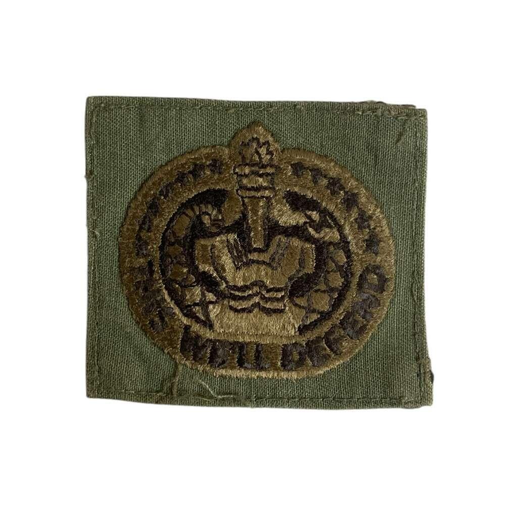 US Army Drill Sergeant Military Patch