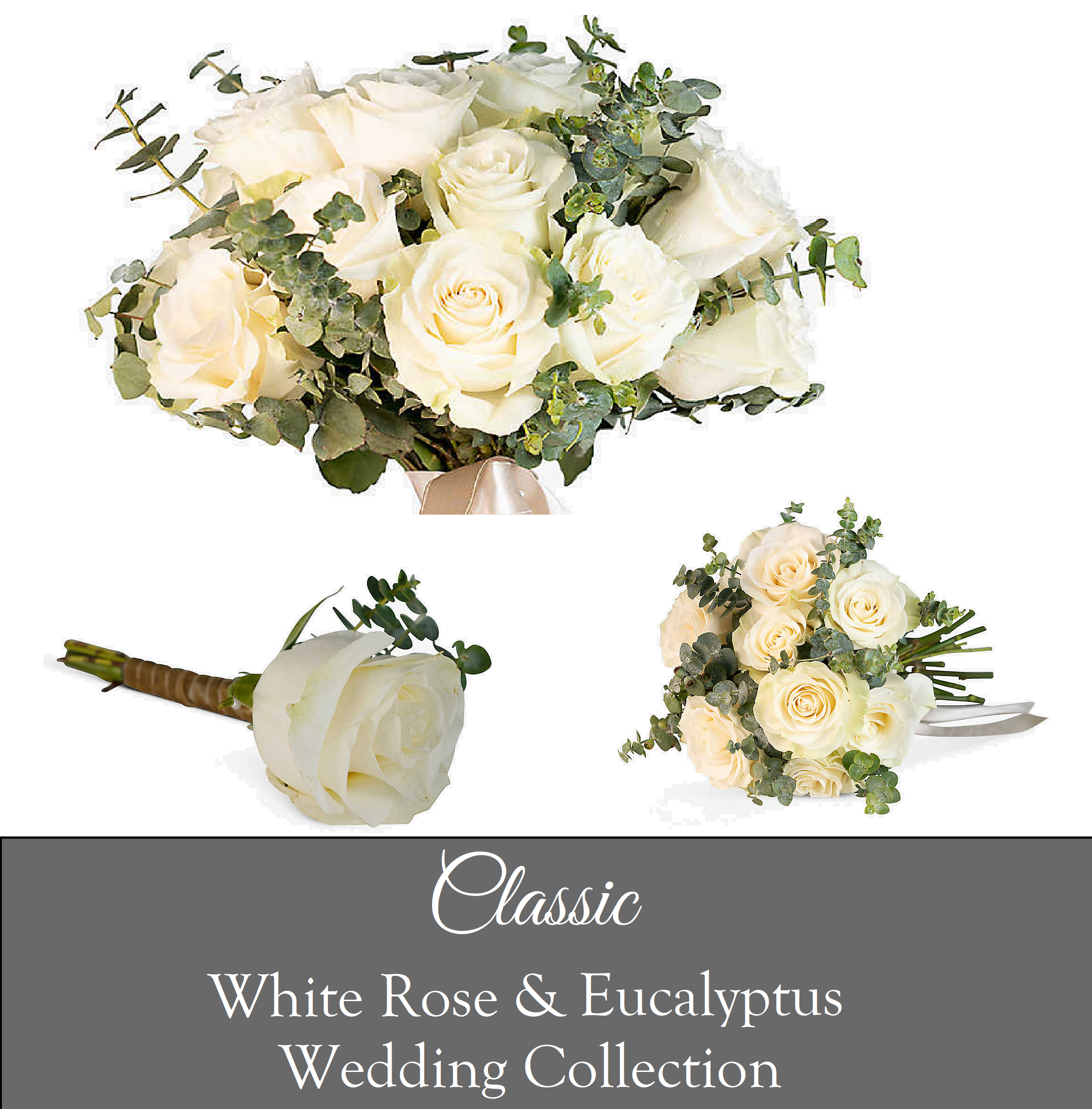 Classic White Rose & Eucalyptus Wedding Collection