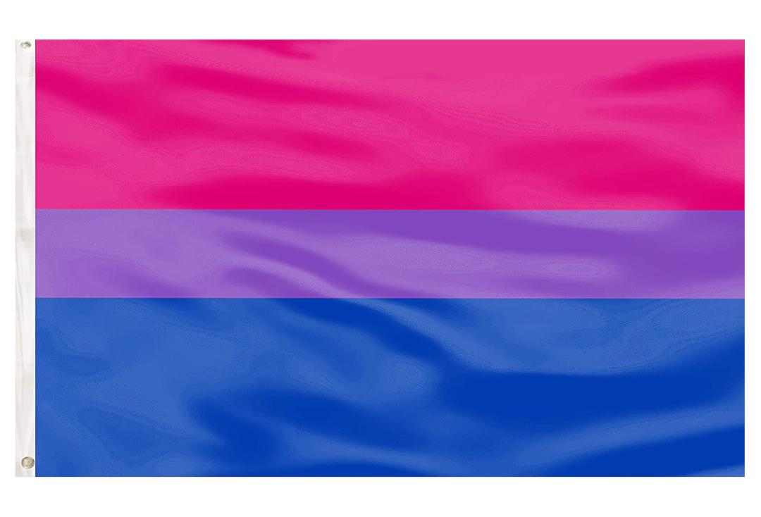 Large Bisexual Pride Flag Large Bisexual Pride Flag