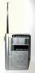 Eton Mini 100PE shortwave Radio - radioworld