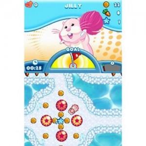 Zhu Zhu Pets Nintendo DS - radioworld