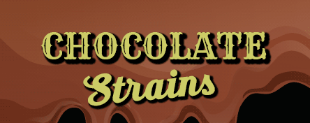 Home [www.pickandmixseeds.com]