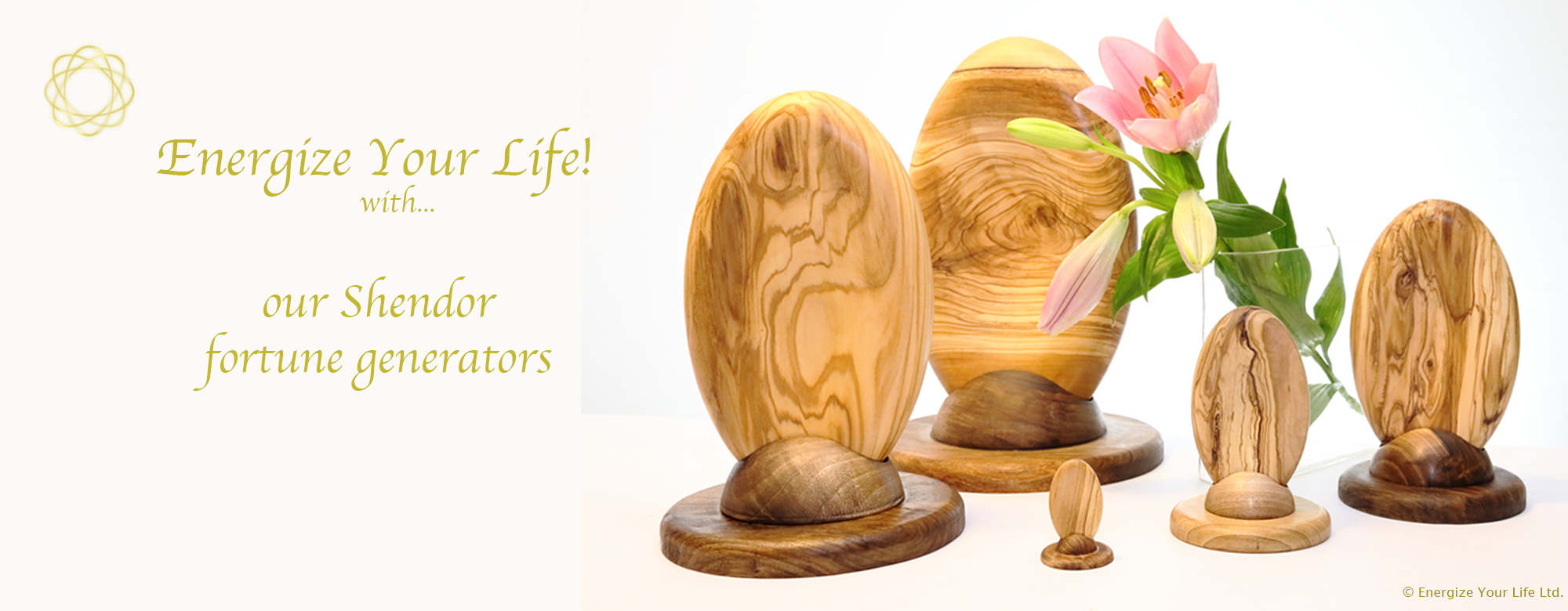 Home [www.energizeyourlife.org]