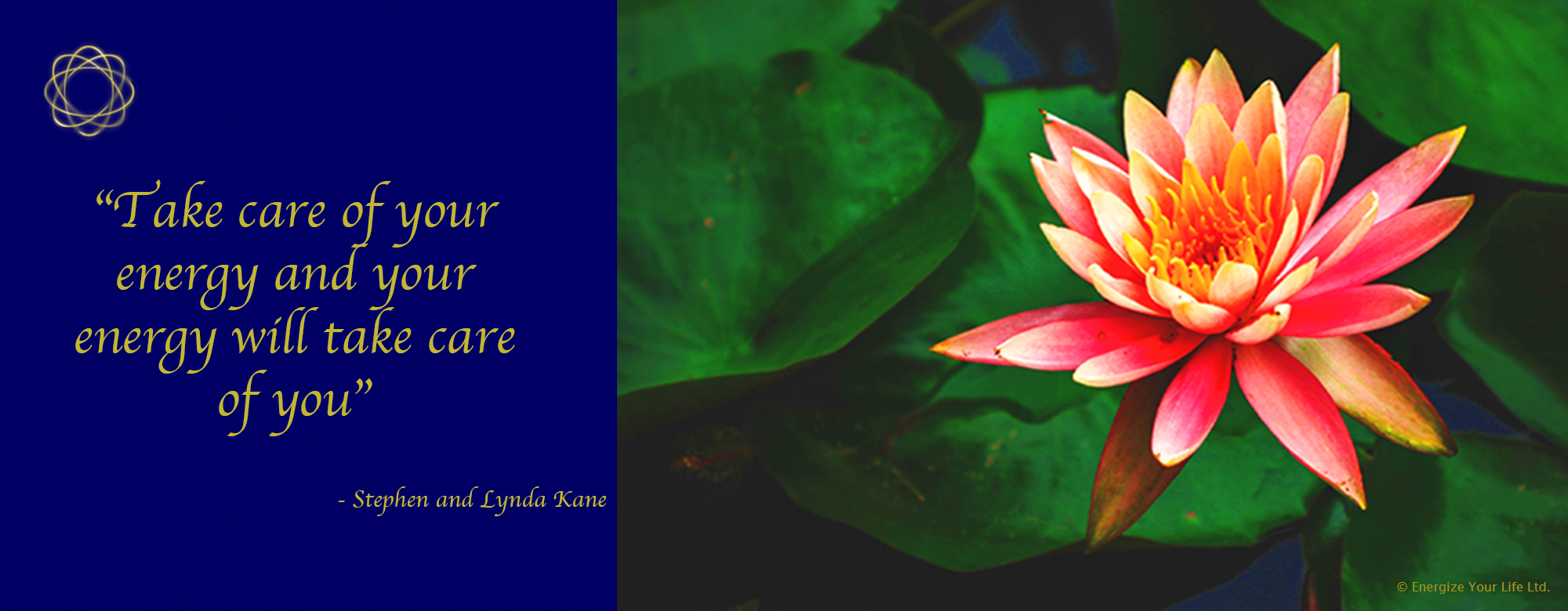 Home [www.energizeyourlife.org]