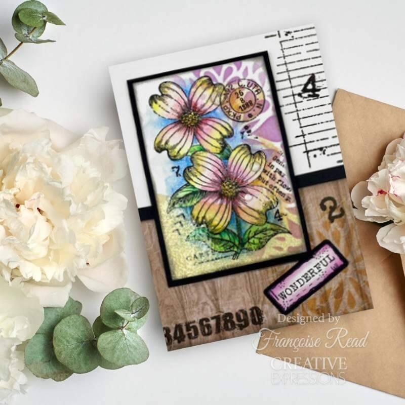Woodware Clear Singles Dogwood Flowers 3 in x 4 in Stamp