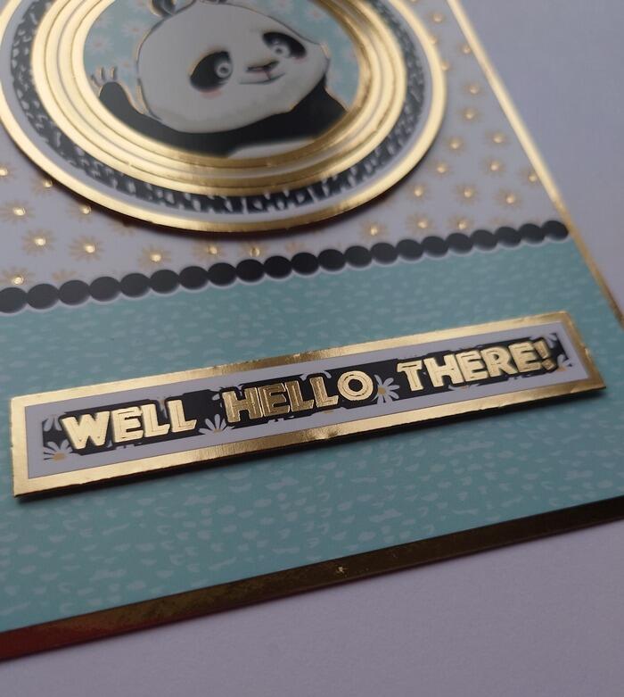 Well Hello There Panda Birthday Any Occasion Handmade Card Topper