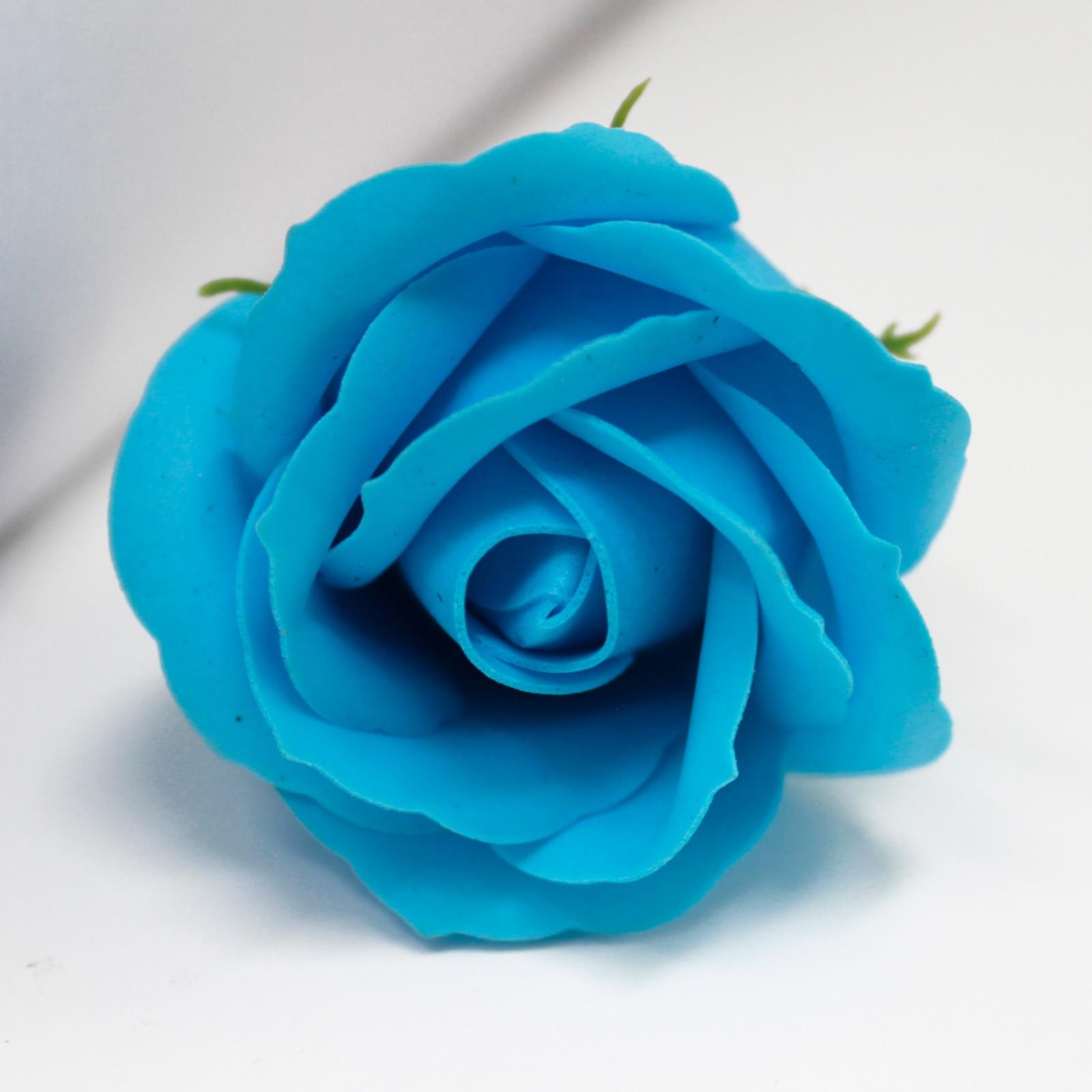 Images Of Sky Blue Color Flowers | Best Flower Site