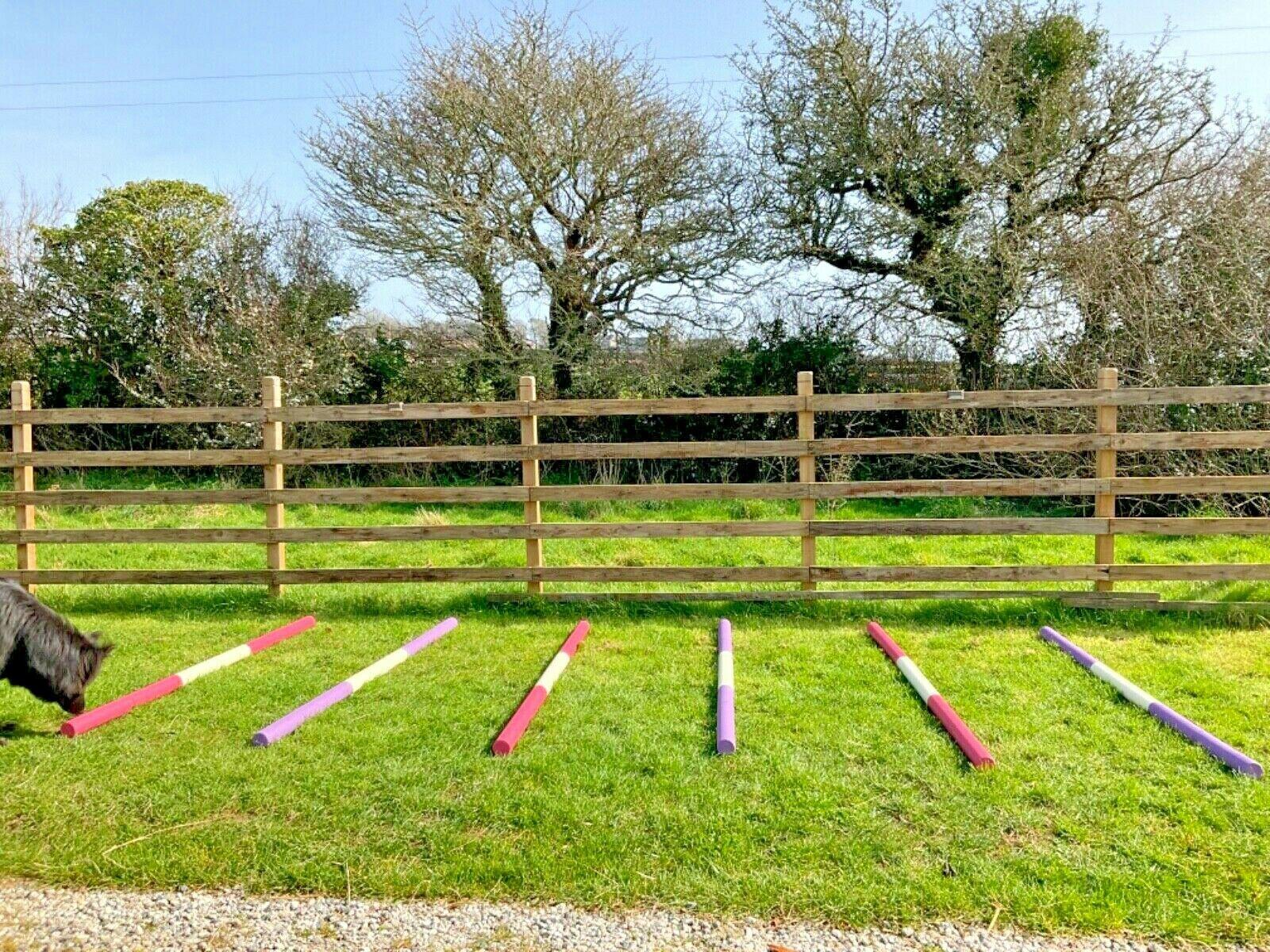 Set of 6 Lightweight 6ft 4" Timber Pony Mini Jump/Trotting/Horse ...