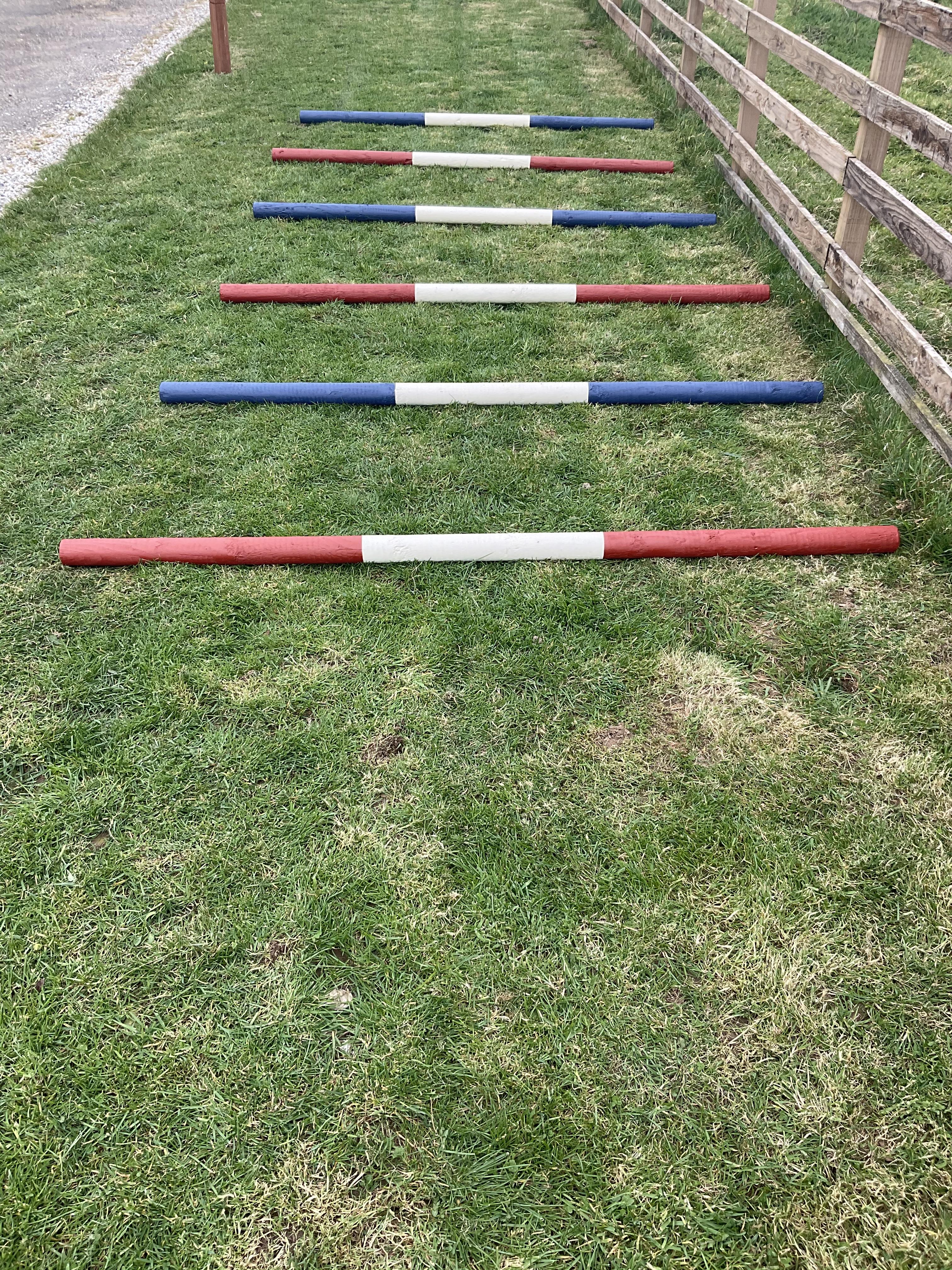 Set of 6 Lightweight 6ft 4" Timber Pony Mini Jump/Trotting/Horse ...