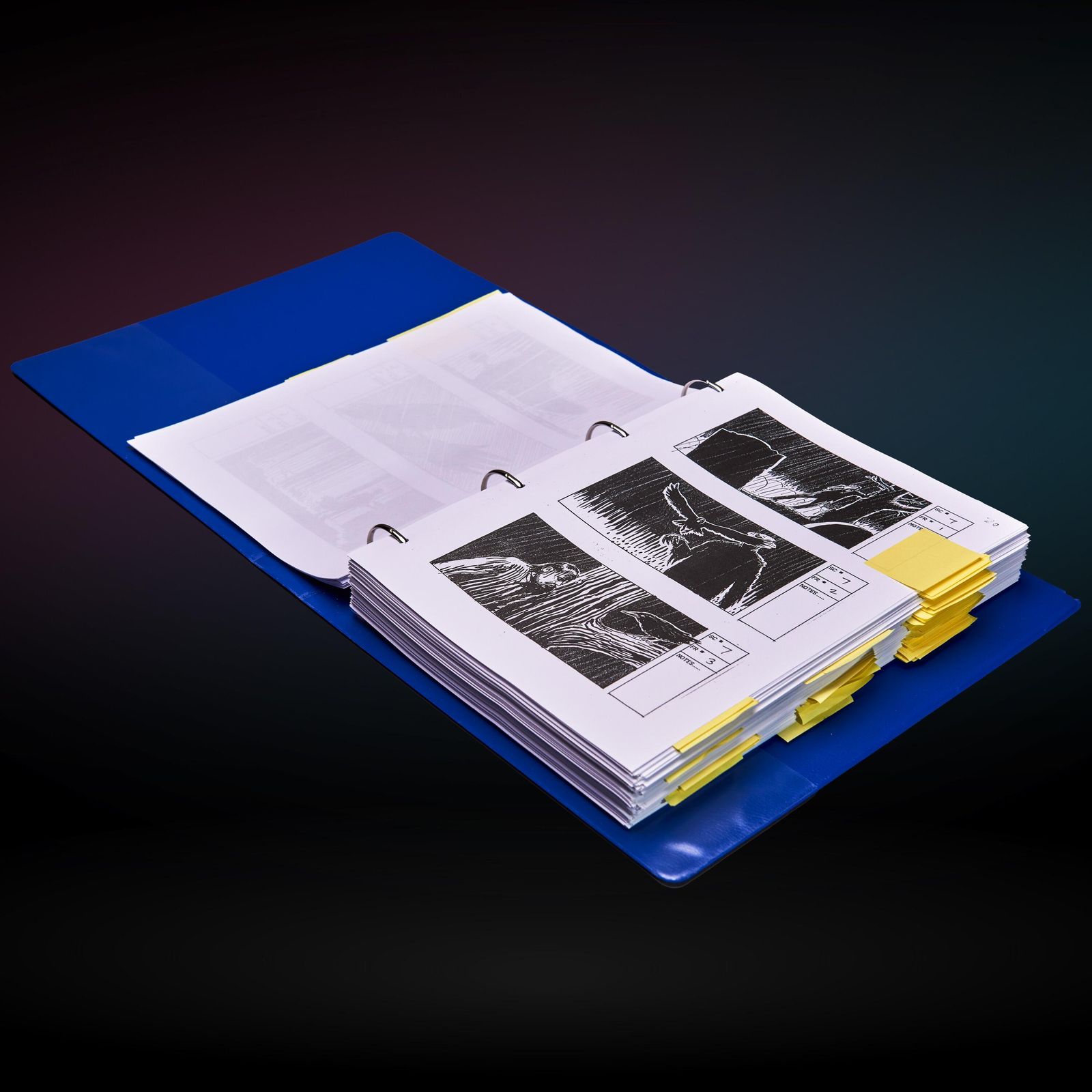 Printed Storyboards from 'The Crow' (1994): Rare Production Binder