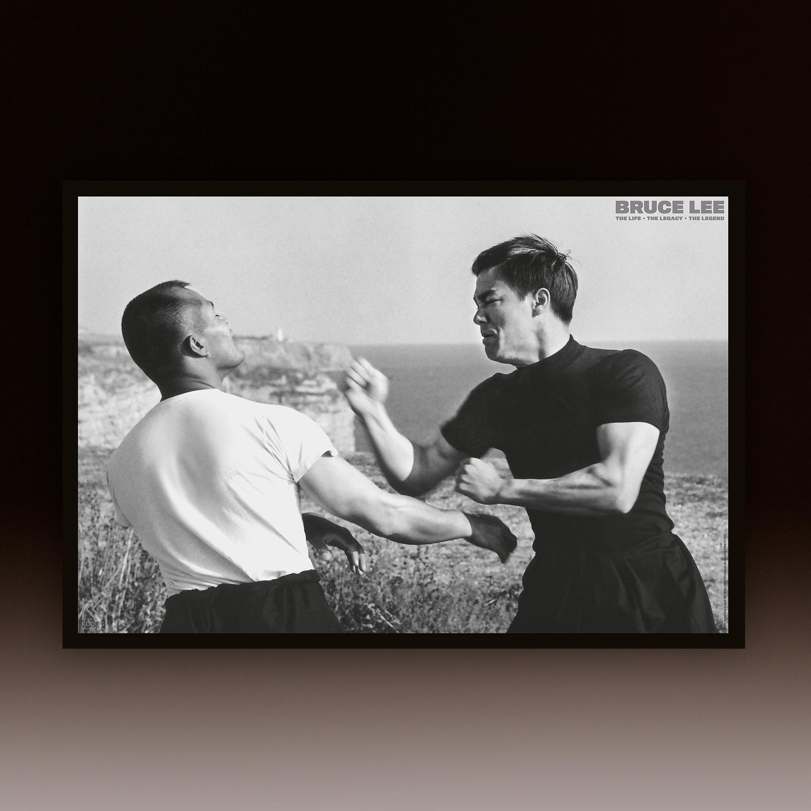 UNFOLDED Bruce Lee Poster Magazine - Issue 5, LAST ONE!