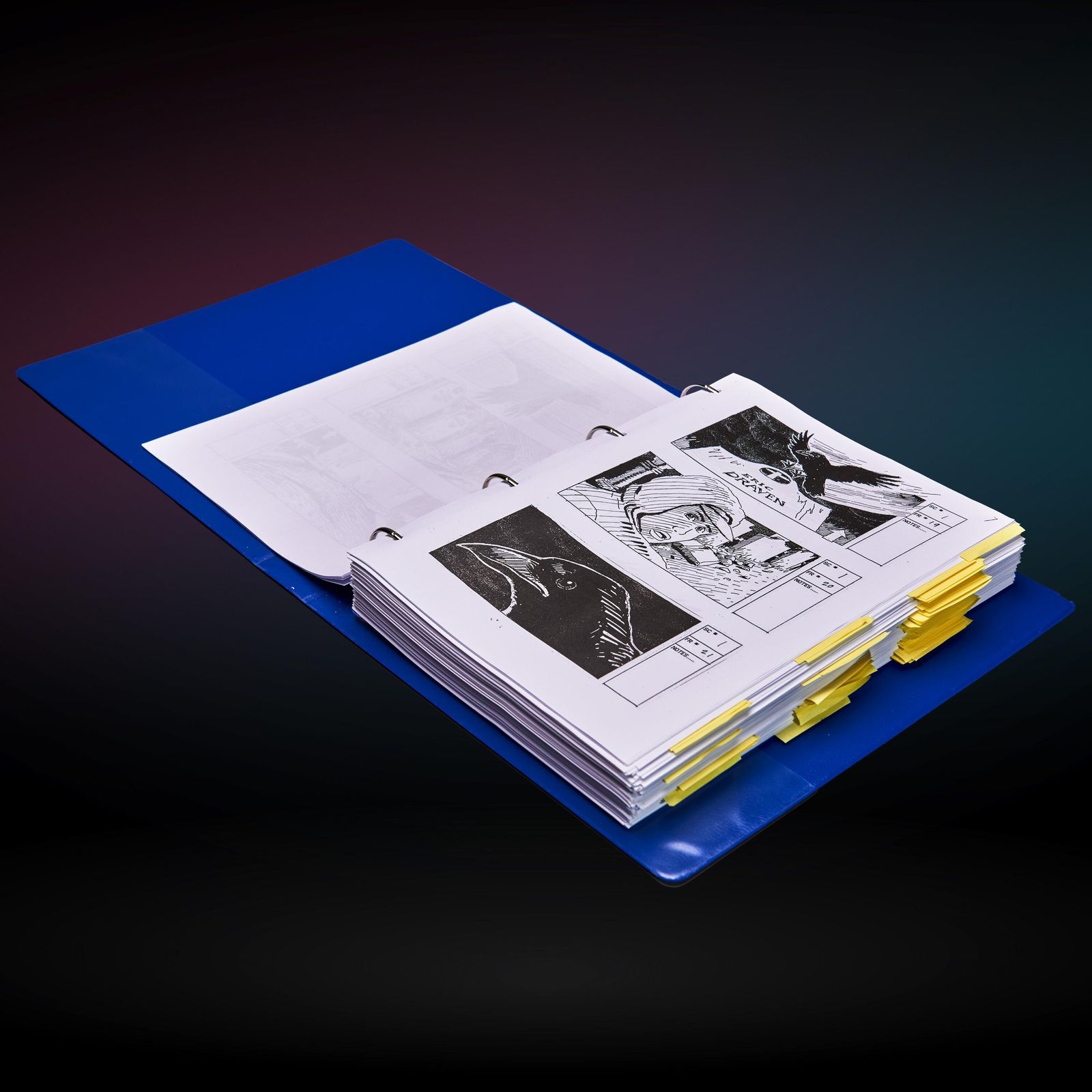 Printed Storyboards from 'The Crow' (1994): Rare Production Binder