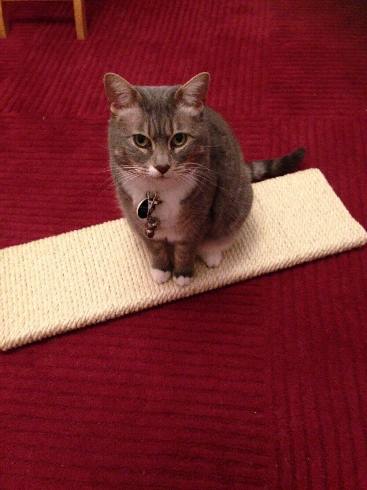 Customer Cat Gallery