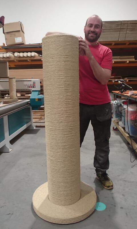 Case Study - Our Biggest EVER Cat Scratching Post