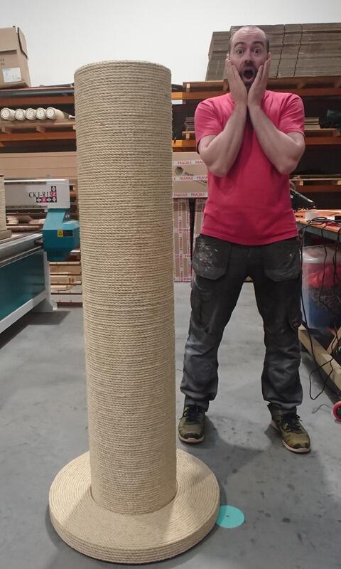 Case Study - Our Biggest EVER Cat Scratching Post