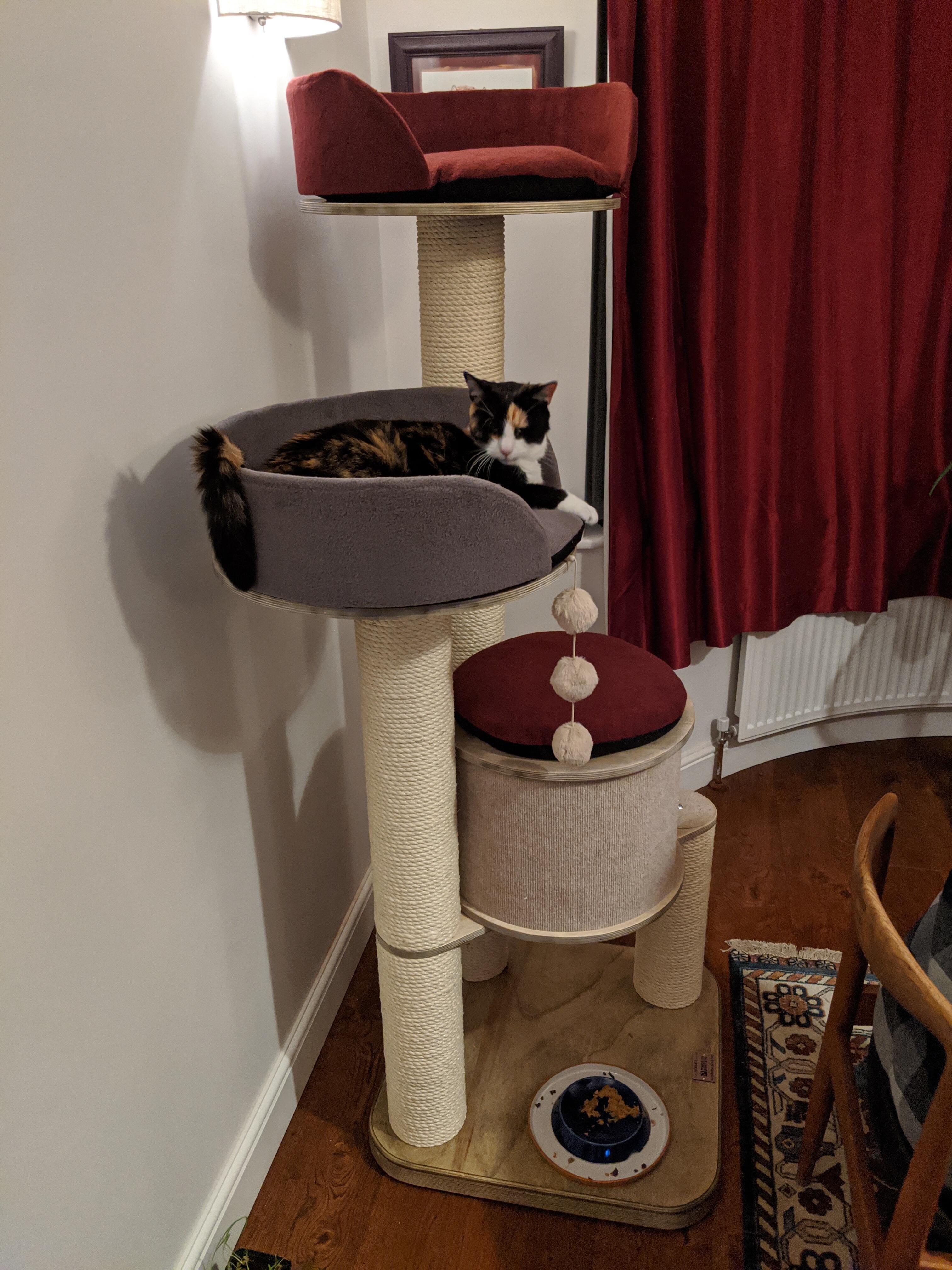 Customer Cat Gallery