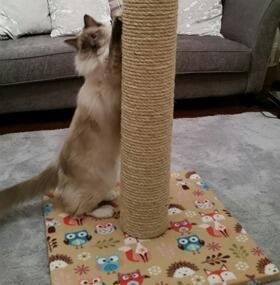 Customer Cat Gallery