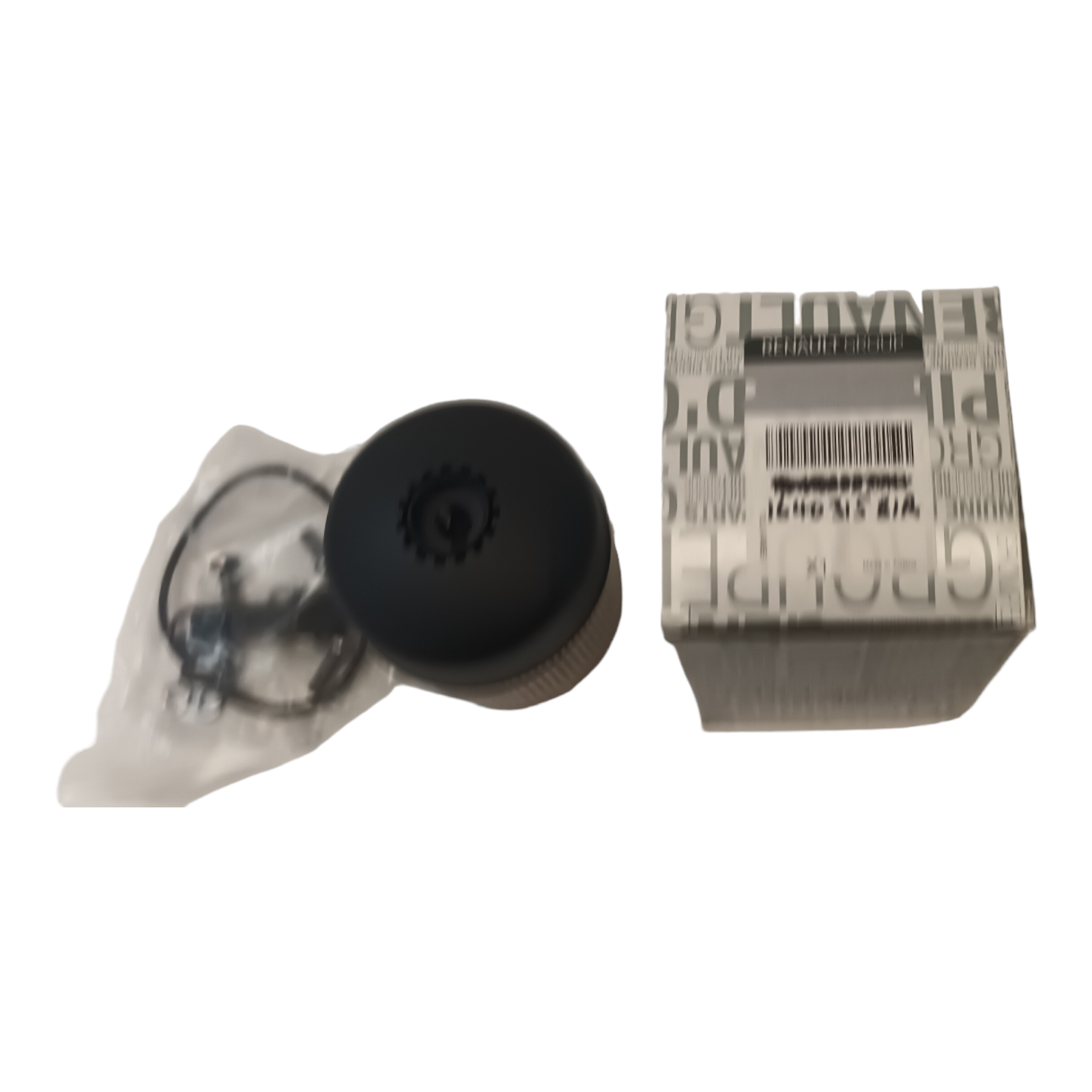Renault | Fuel Filter | 164031581R | GFN Parts