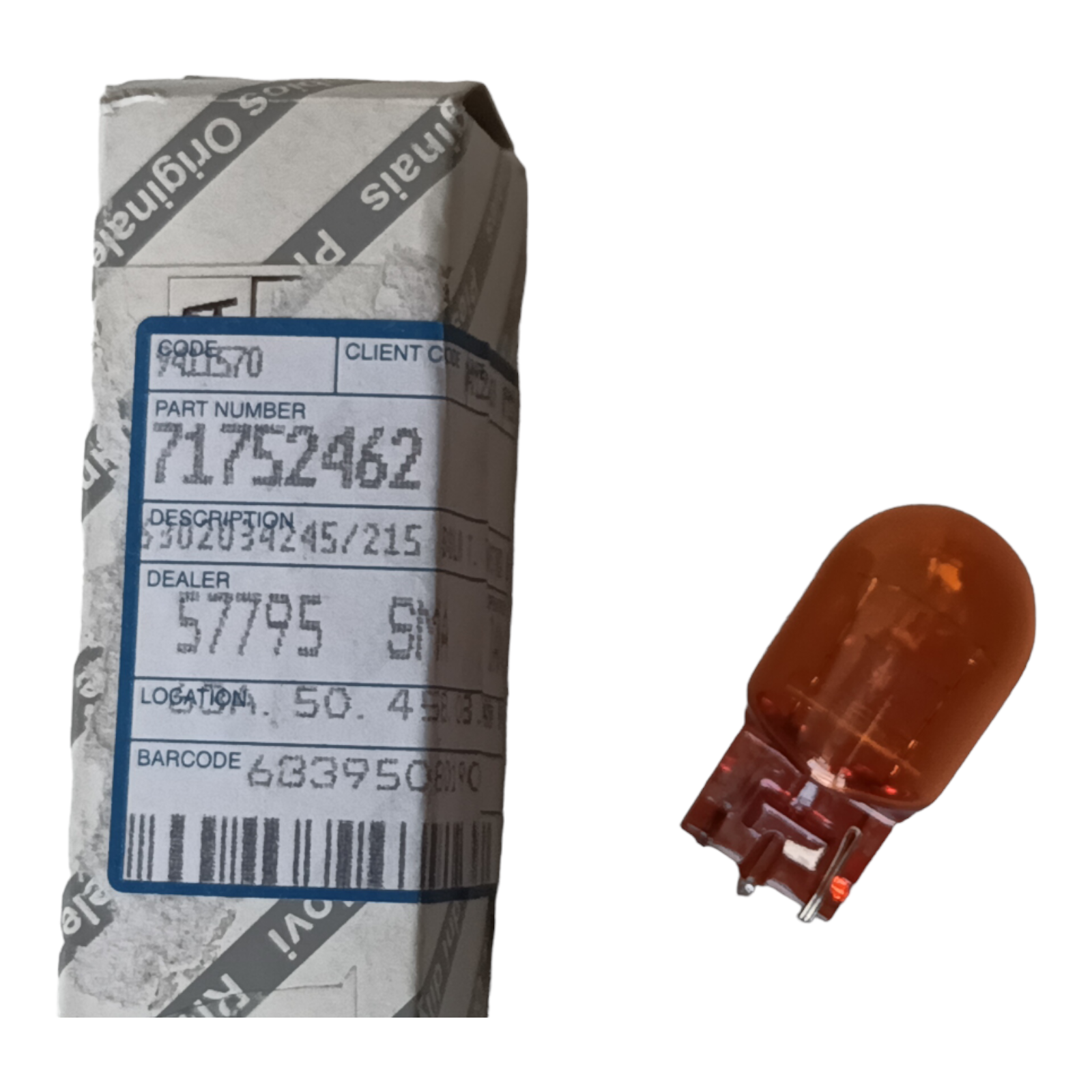 Fiat | P21W 21W 12V Bulb | 71752462 | GFN Parts