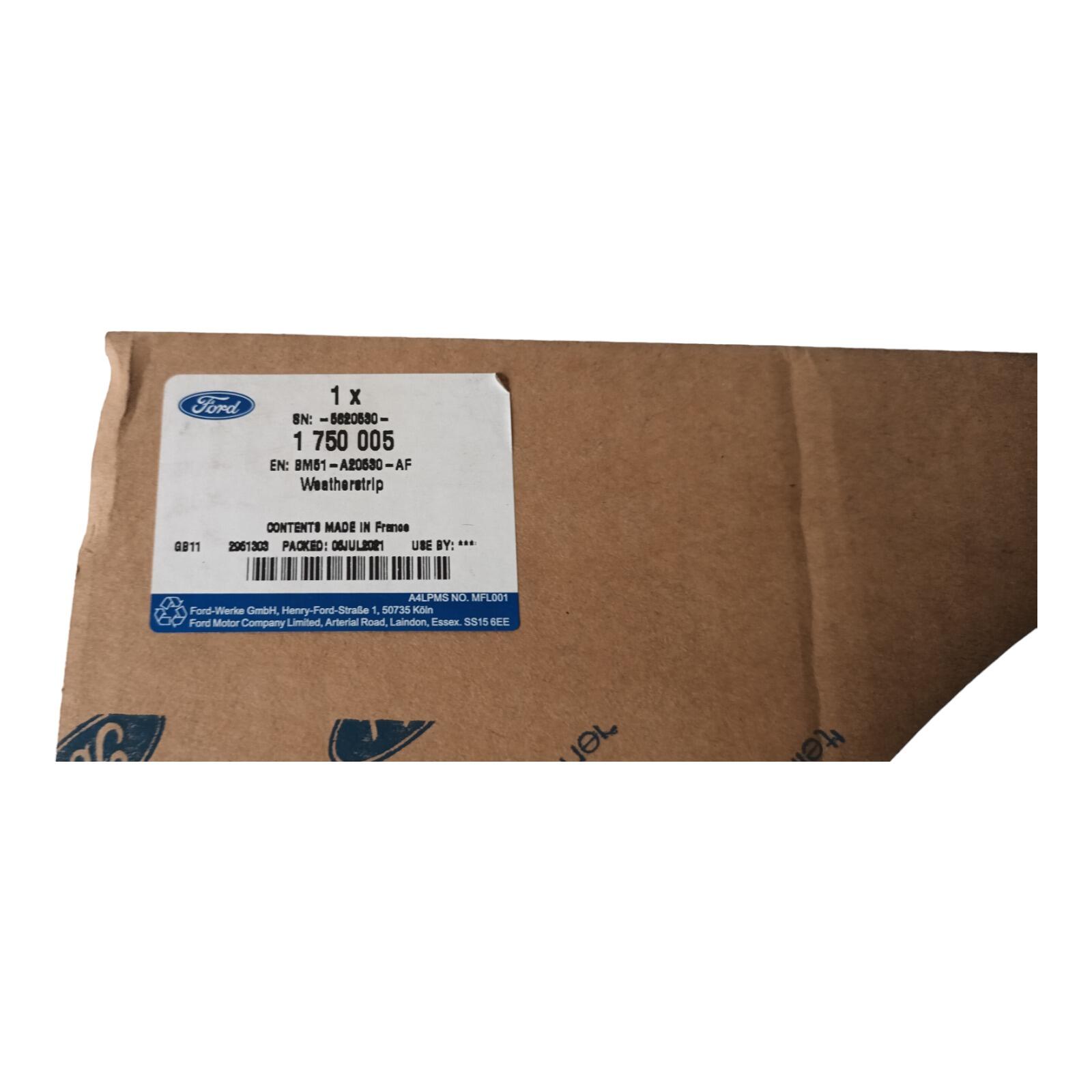 Genuine Ford Focus Front door weatherstrip 1750005