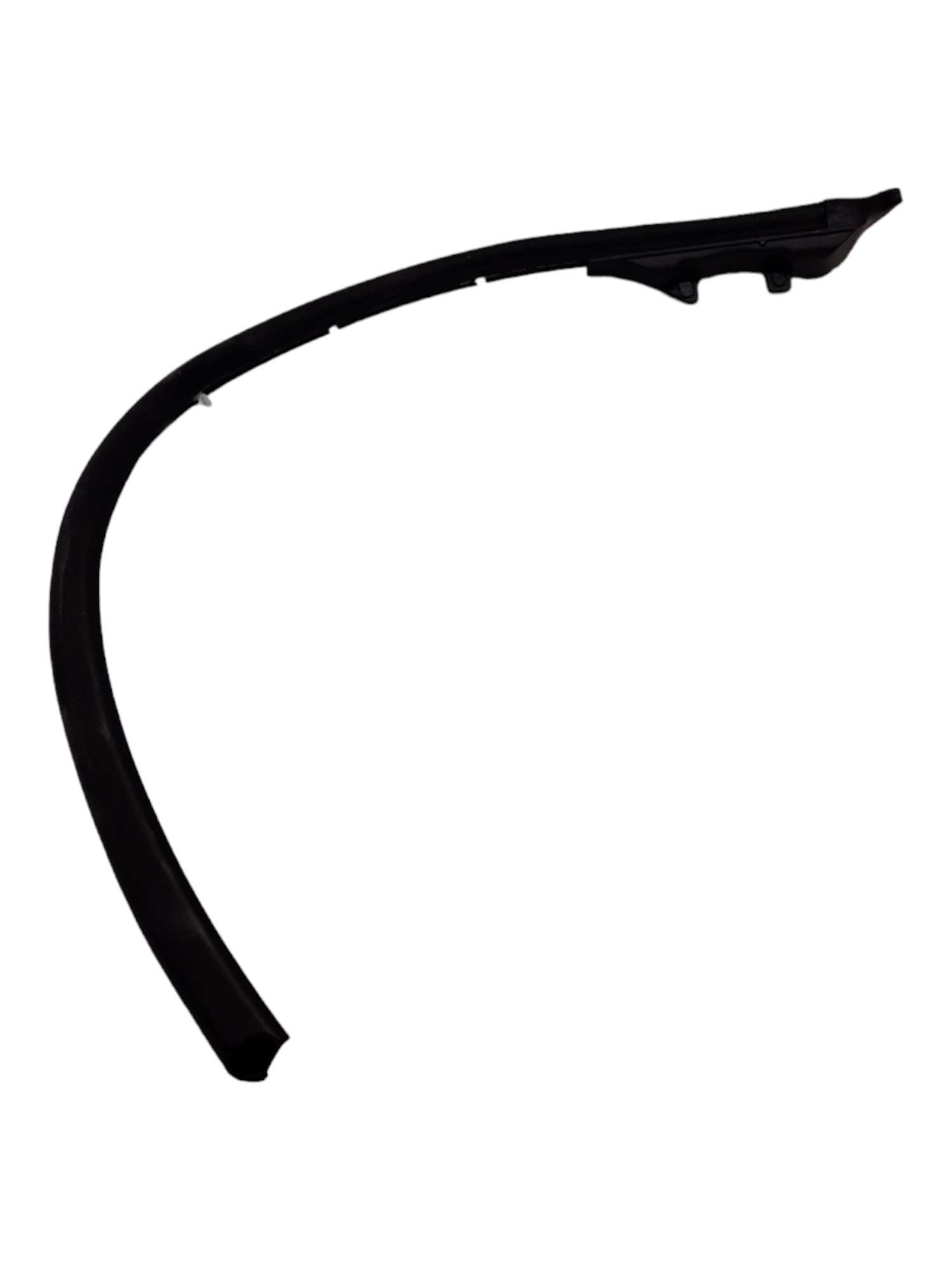 Genuine Renault Scenic 4 (R9MR) LH NS Lower Front door weatherstrip ...
