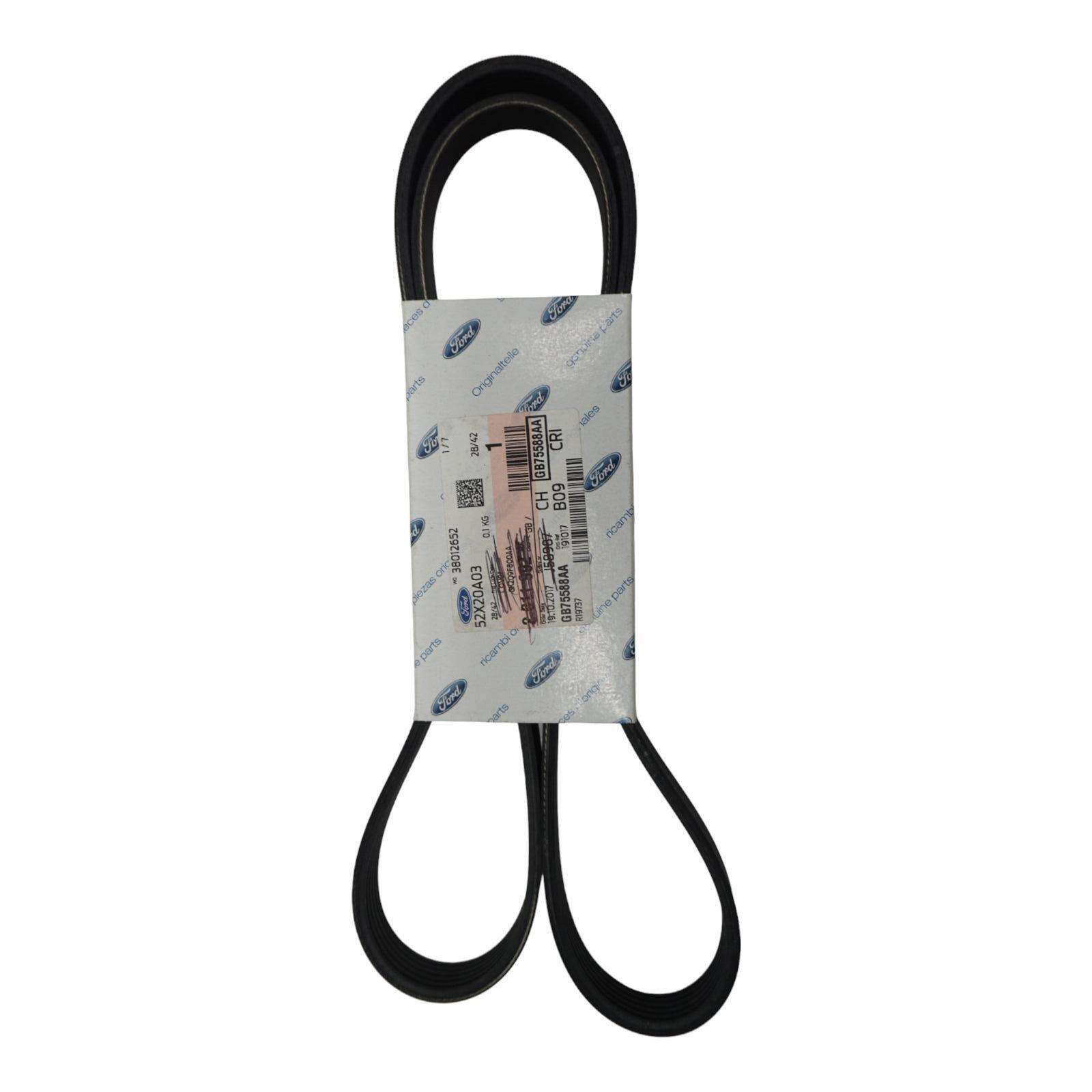 Genuine Ford V-Belt fits Focus C-MAX Fiesta (Ecoboost) 1761929